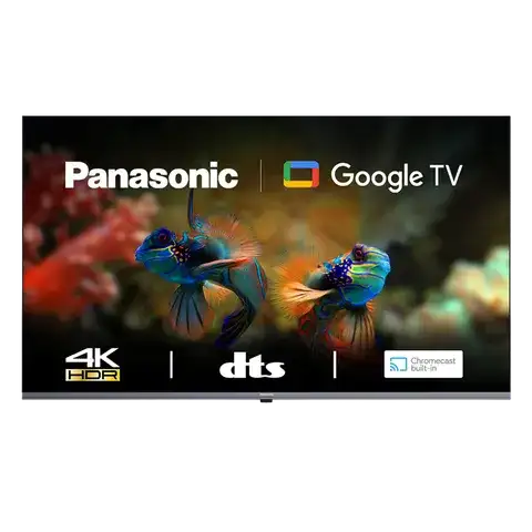 TV :: Panasonic | 55 inch | 4K Ultra HD LED Google TV | TH-55MX740DX