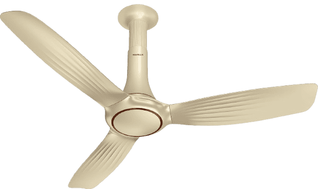 Small Appliances :: Fans :: Havells Inox BLDC Motor Ceiling Fan | 1200 ...